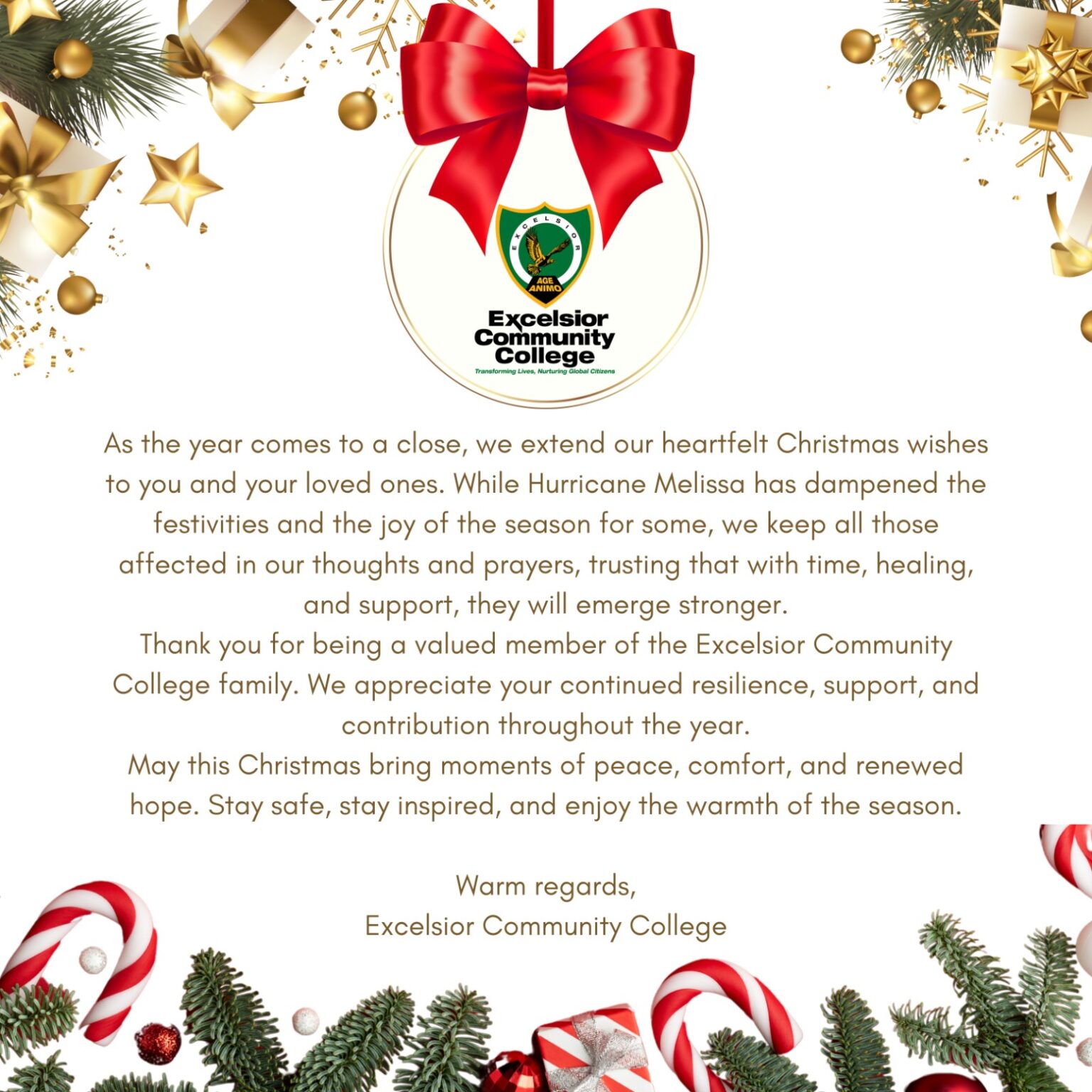 Our Programmes – Excelsior Community College